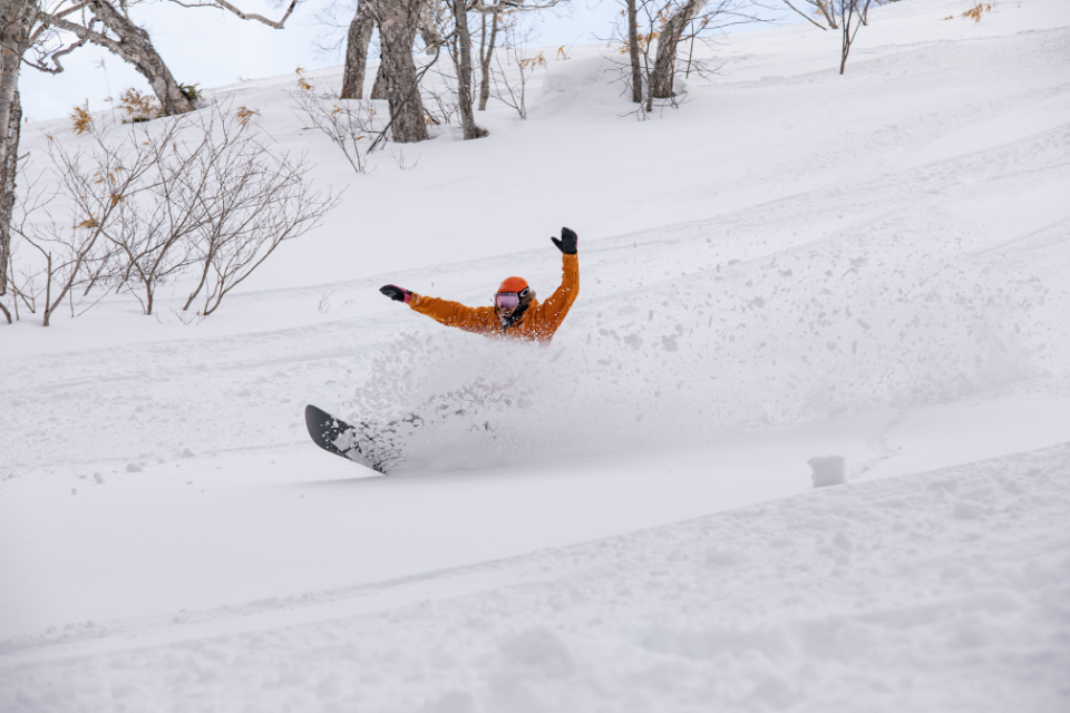 February Favourites: Made for Niseko Powder Days | YamaSport